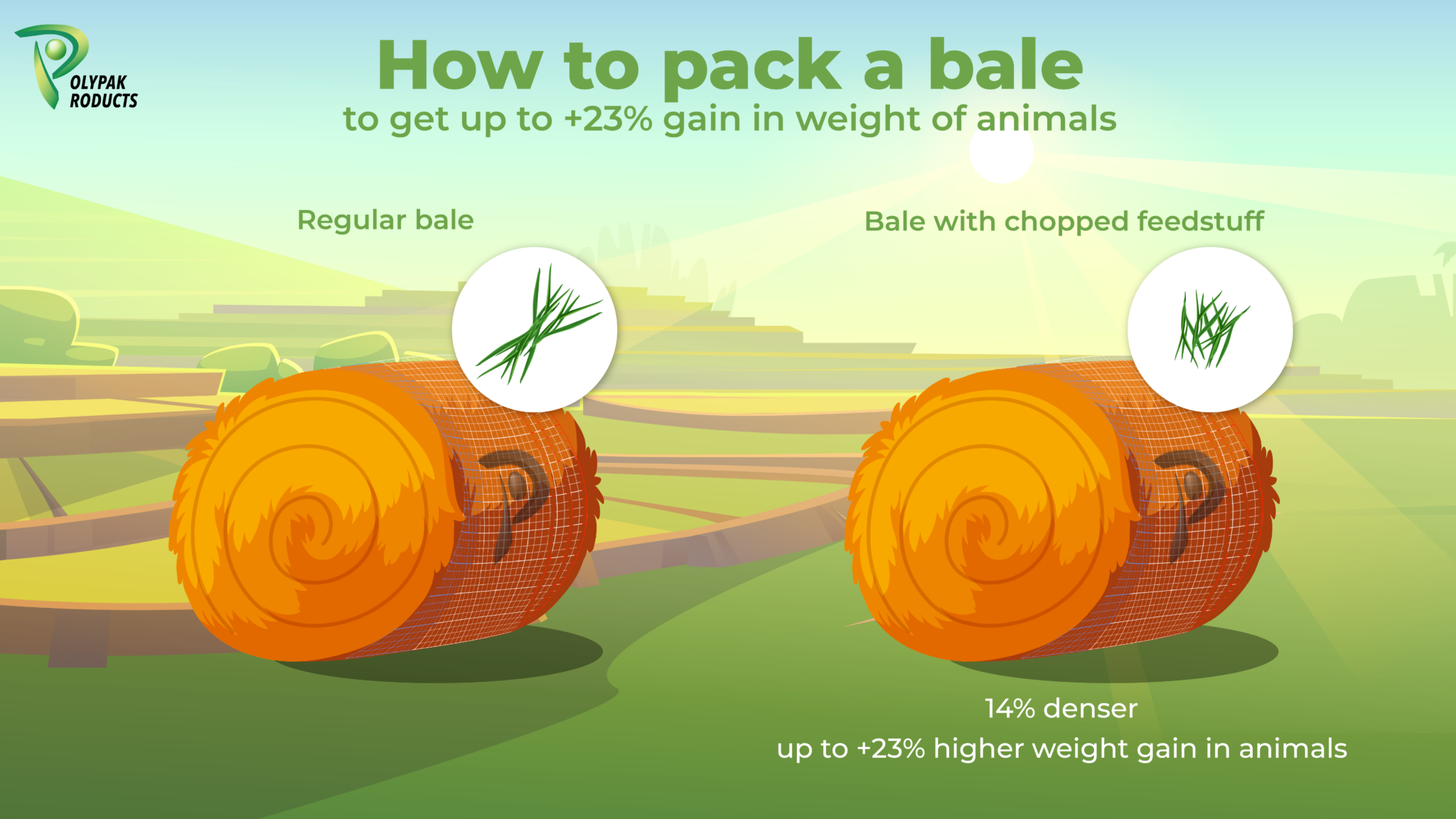 How to pack a bale to get up to +23% gain in weight of animals - Net Wrap